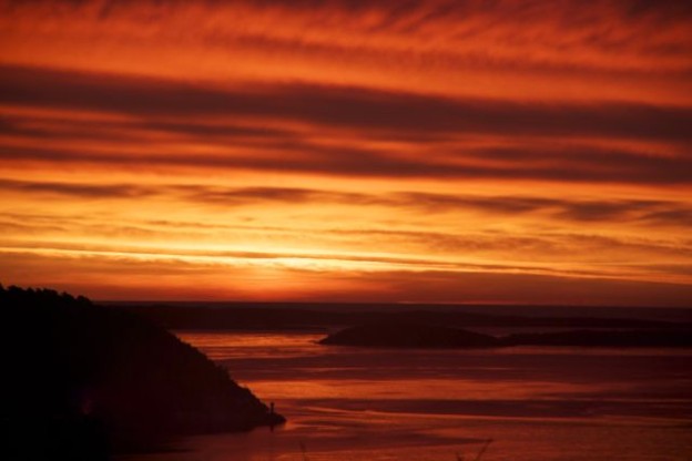 Beautiful Sunrise | Creative Pink Butterfly