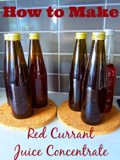 How to Make Your Own Red Currant Juice Concentrate | Creative Pink ...